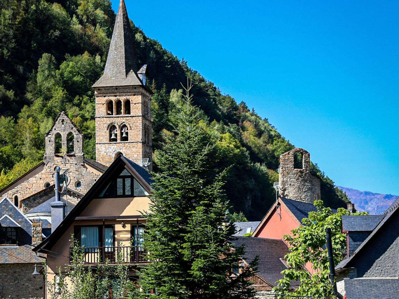 Home - Naut Aran Era Reserva - Web turística Naut Aran